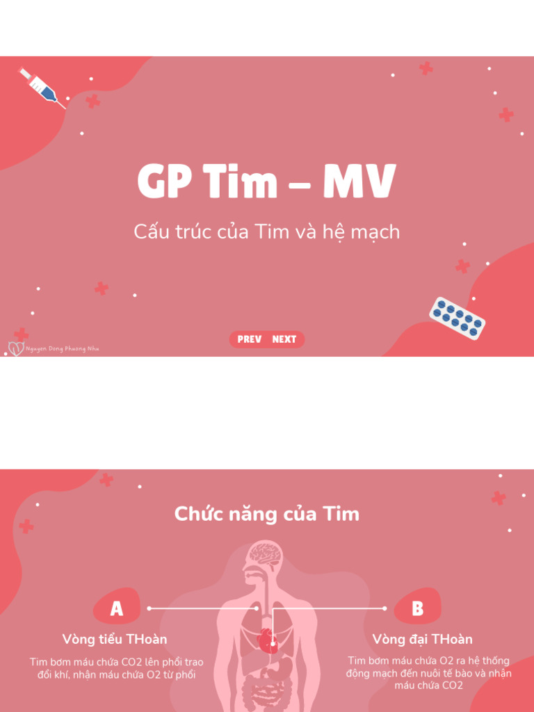 GP Tim MV | PDF