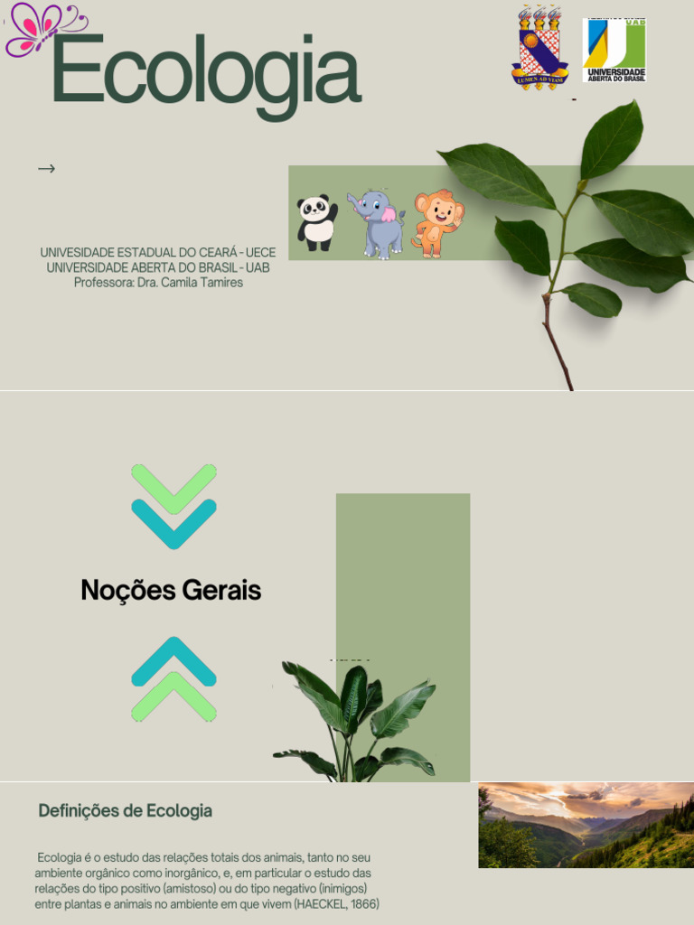 Interações Ecológicas e Fatores Ambientais | PDF | Intemperismo | Água