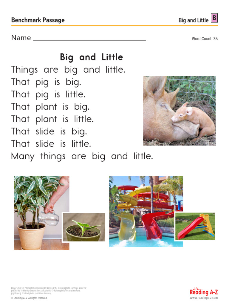 Big and Little LVL B Passage | PDF