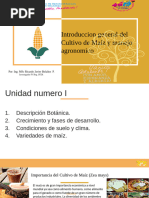 Ciclo de Vida del Maíz en Etapas | PDF