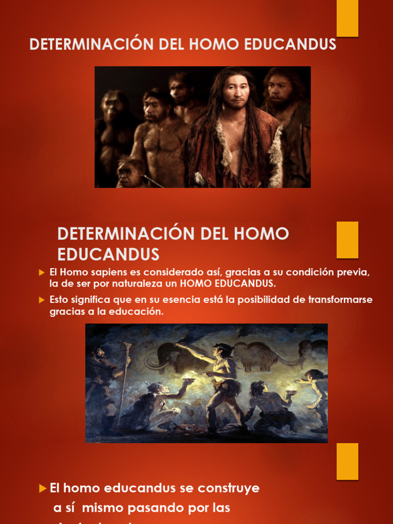 El Concepto de Homo Educandus | PDF | Instinto | Humano