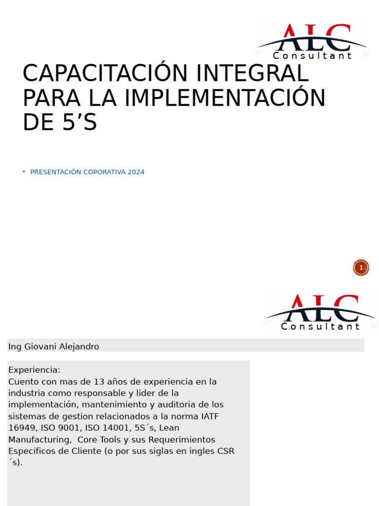Capacitación en Metodología 5S 2024 | PDF