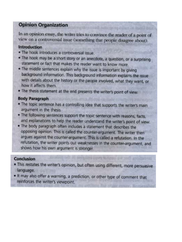 Opinion Essay Organization | PDF