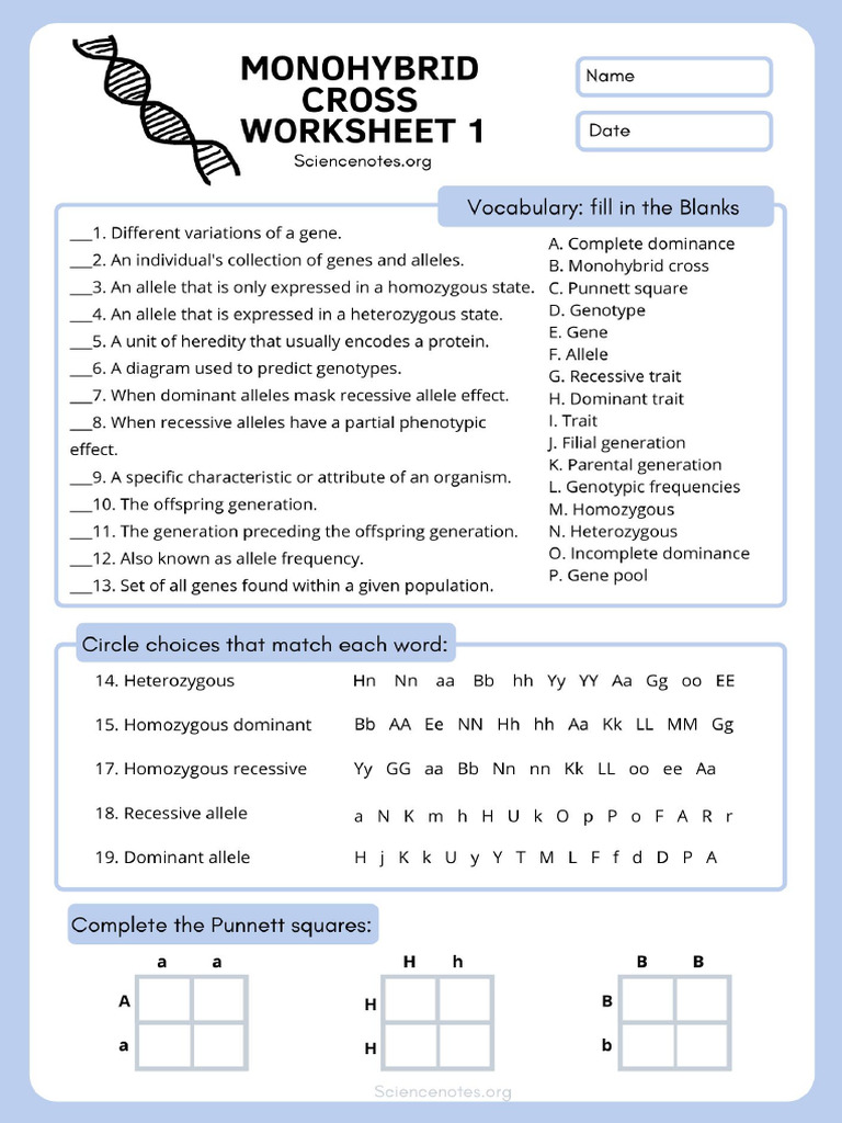 Monohybrid Cross 1 2 Pdf