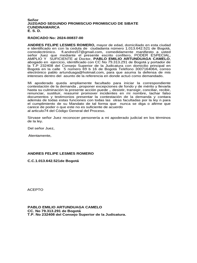 Poder Para Gina Rocio Romero .... | PDF