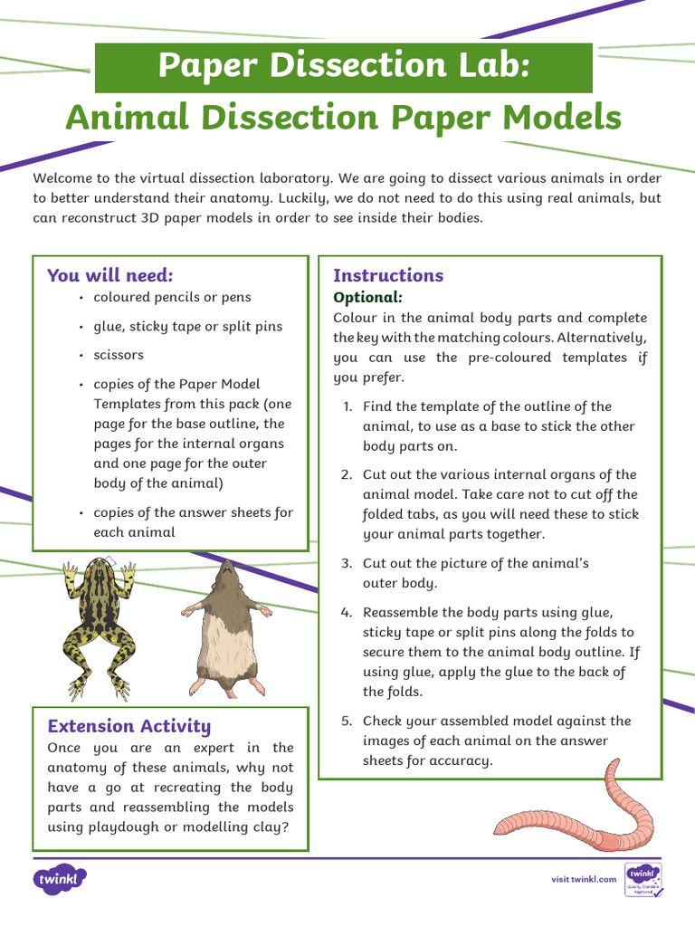 Paper Dissection Models for Frogs | PDF | Frog