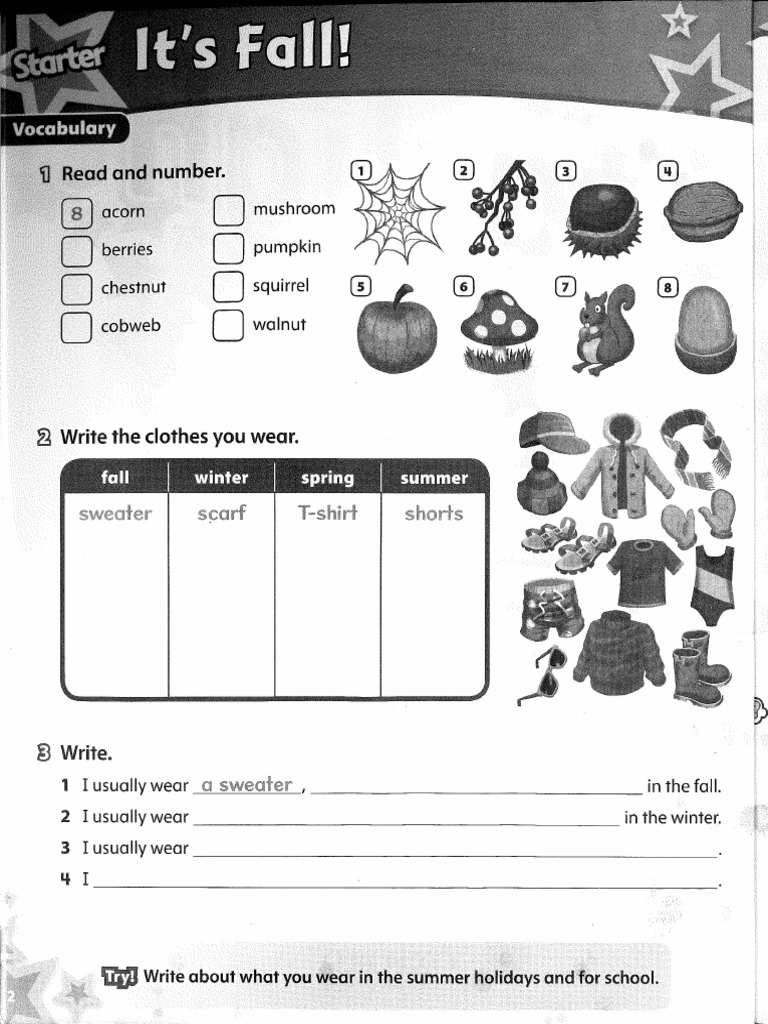 2.starlight 4 Workbook 7-8 | PDF