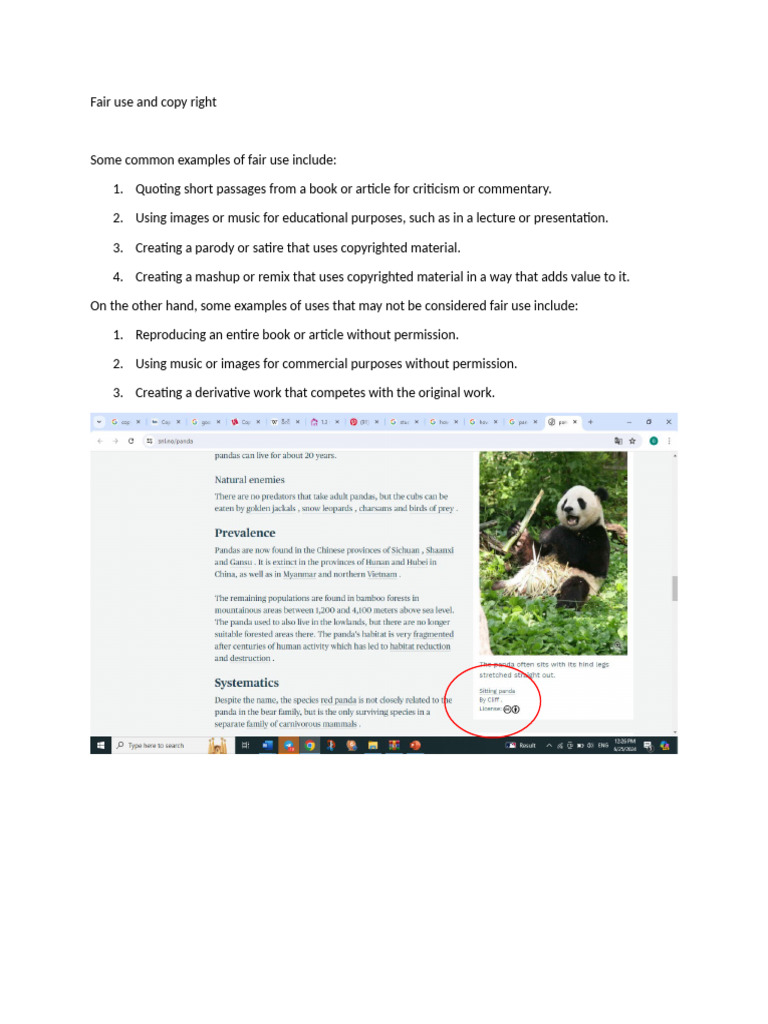 Fair Use and Copy Right | PDF