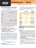 Articulación Coxofemoral Cuadro Integrador | PDF | Rodilla | Cadera