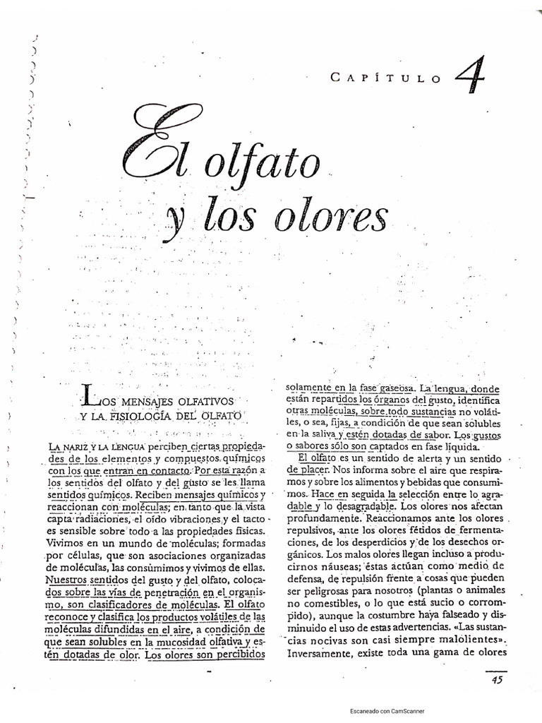 Teoria El Olfato y Los Olores | PDF