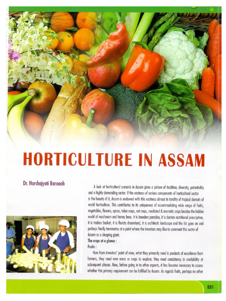 Unique Agriculture Produces | PDF