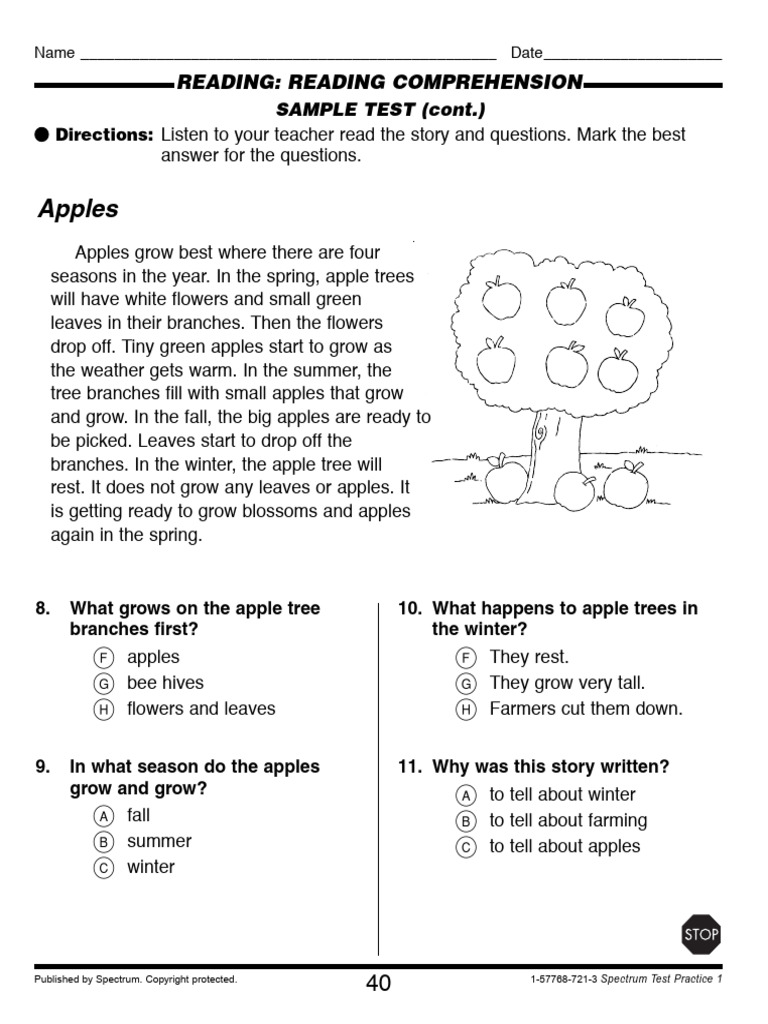 Spectrum Test Practice: Grade 1 Reading | PDF
