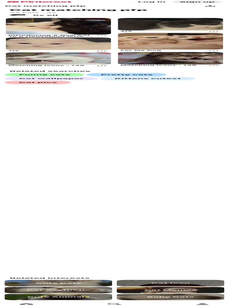 Cute Cat Matching Profile Pictures | PDF