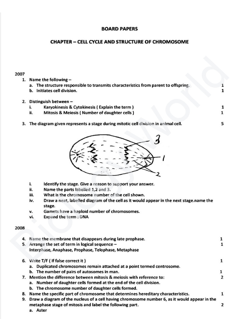 Structure of Chromosome and Cell Cycle - Class 10 Board Paper | PDF