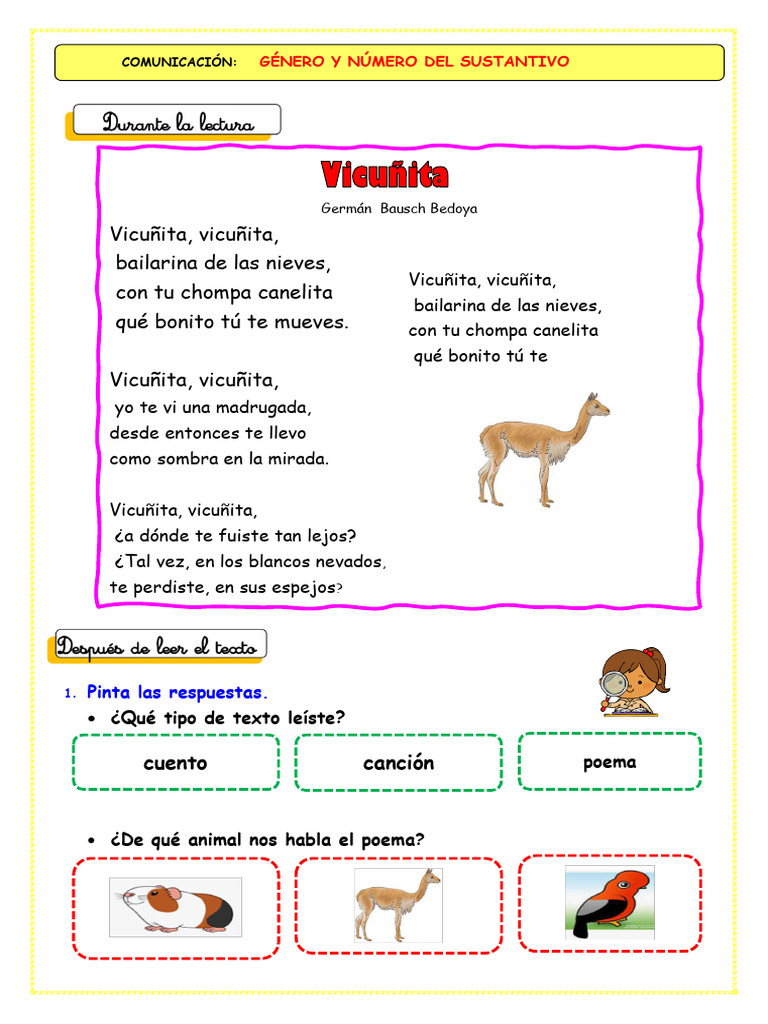 Ficha Com Genero y Numero Del Sustantivo | PDF