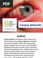 Panduan Corpus Alienum Kornea | PDF