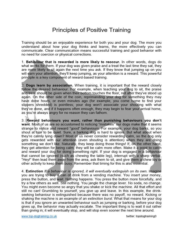 Positive Dog Training Principles | PDF | Behavior | Dogs