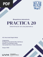 CALCULO DE UREA A PARTIR DE BUN y de BUN A PARTIR DE UREA | PDF
