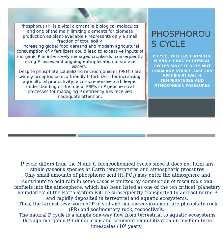 Phosphorous cycle | PDF