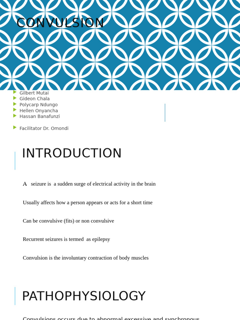 Understanding Convulsions and Seizures | PDF | Cerebral Cortex | Human ...