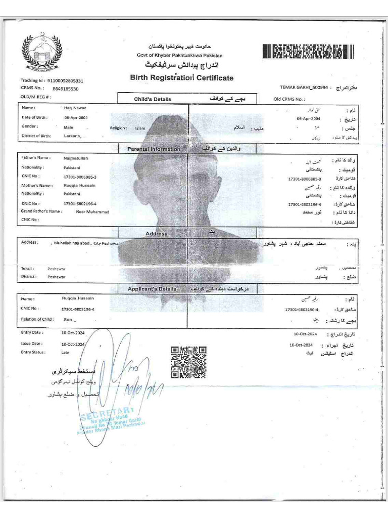 Pakistan Birth Certificate | PDF