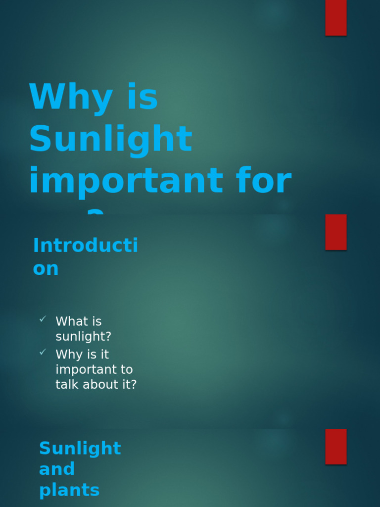 Why Is Sunlight Important For Us | PDF