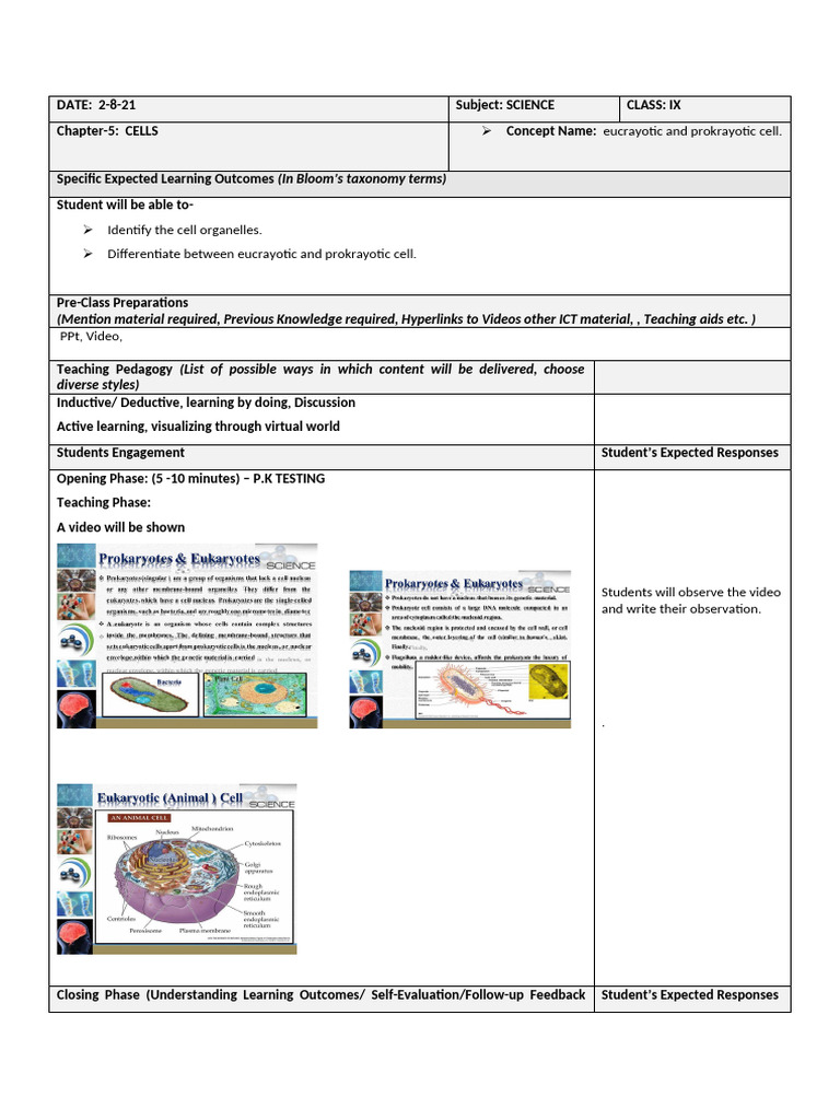 Eukaryotic vs Prokaryotic Cells Overview | PDF | Cell (Biology ...