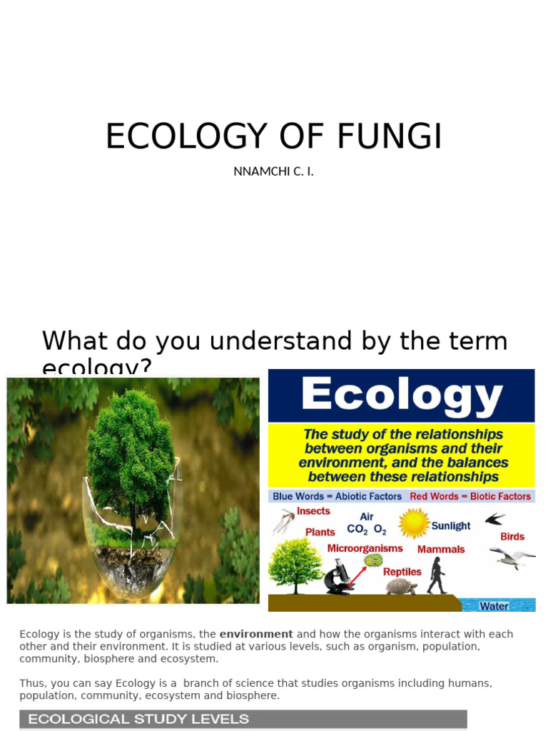 Ecological Roles of Fungi Explained | PDF | Fungus | Mycology