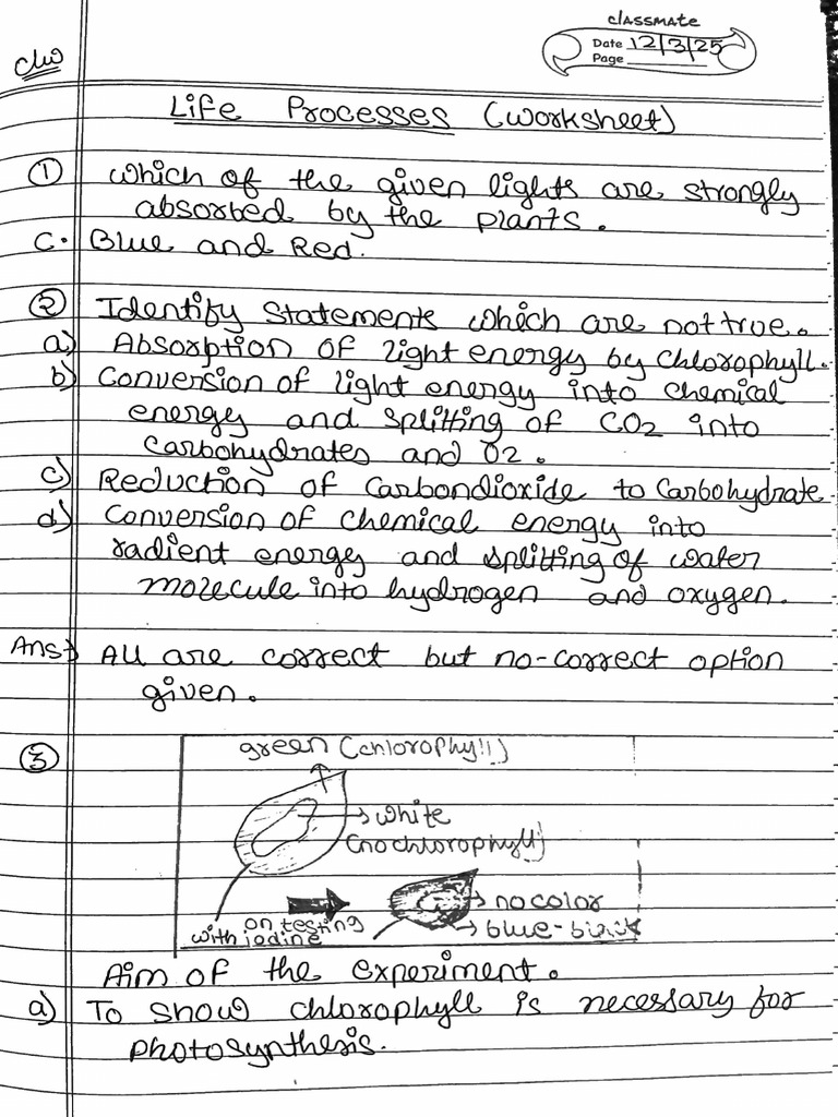 Chapter Ending Question Class - X | PDF