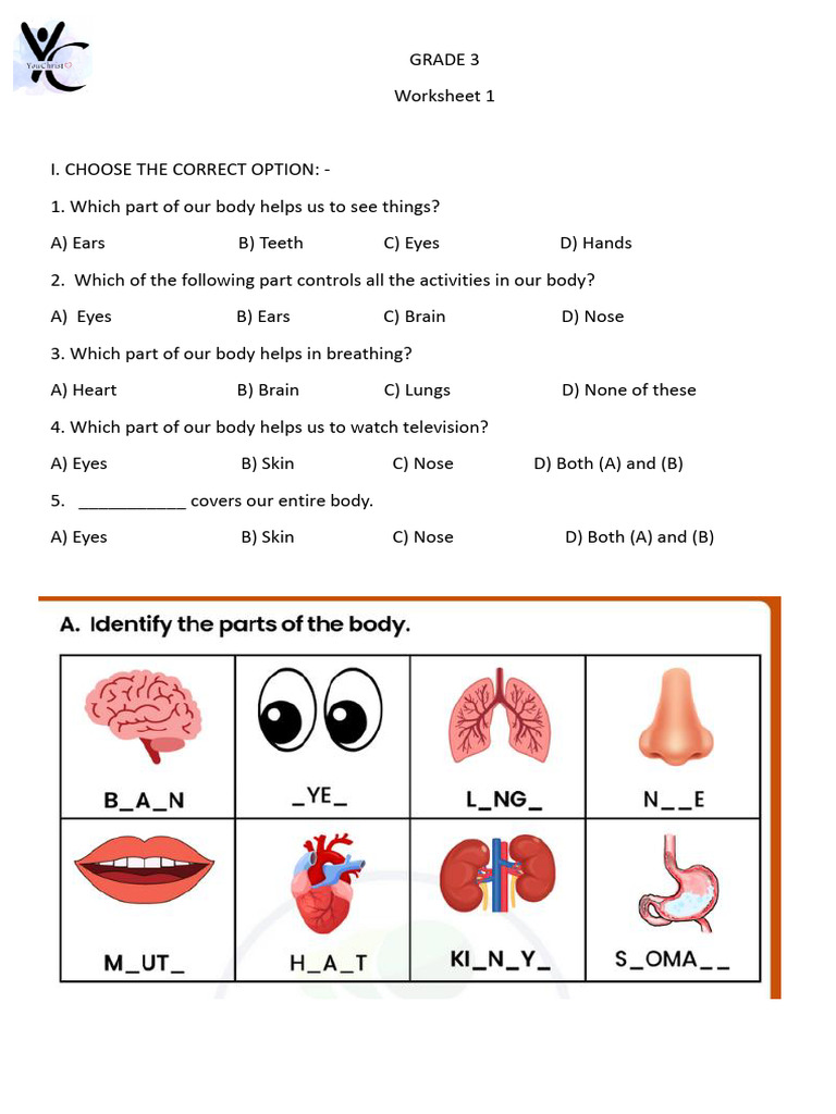 Parts of the Body Worksheet Grade 3 | PDF
