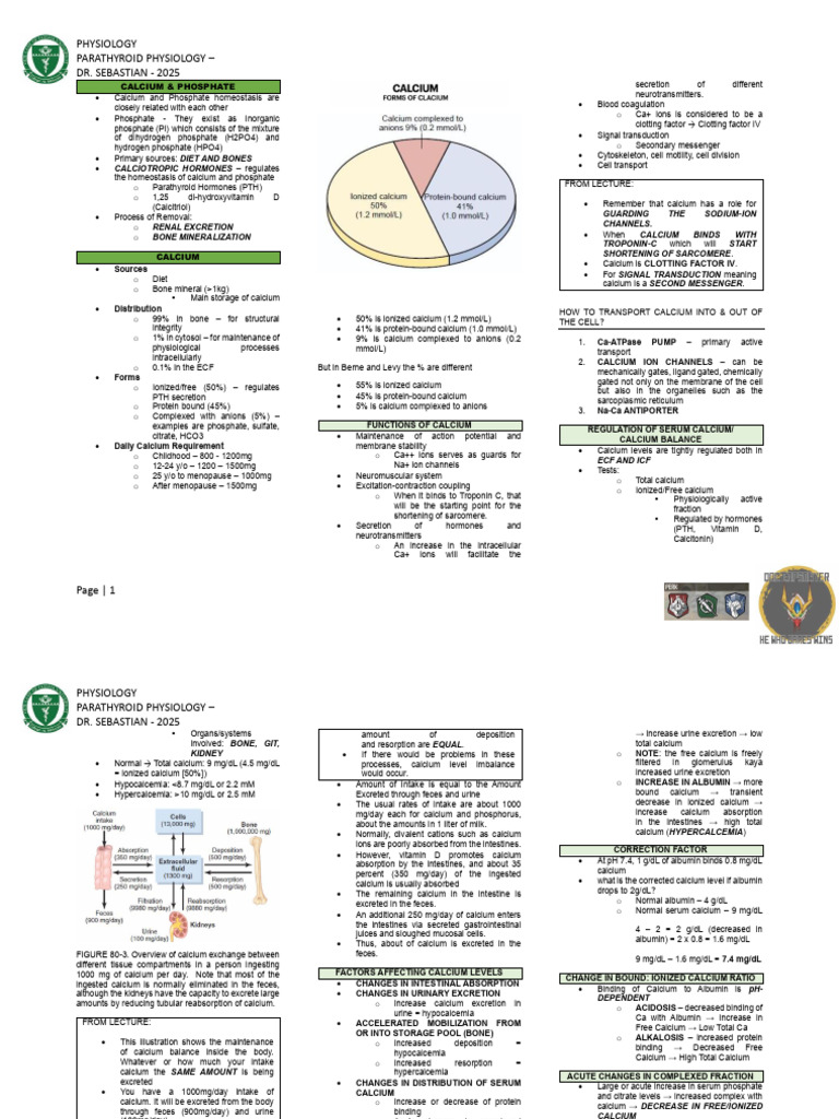 Physiology Parathyroid Physiology 2025 | PDF | Bone | Osteoblast