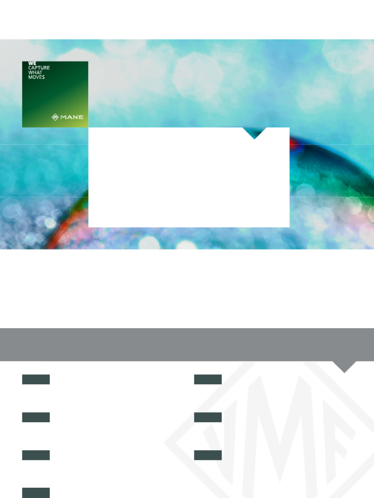 IFRA Certificate Guidance and Standards | PDF | Perfume | Odor