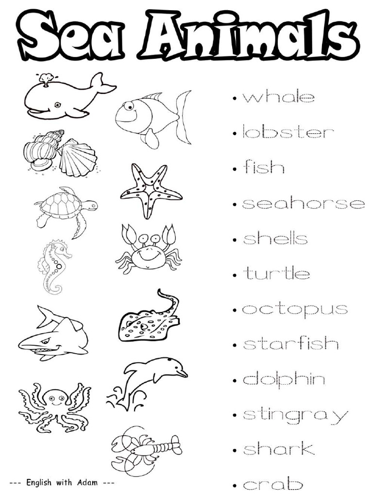 Sea Animals Worksheet | PDF