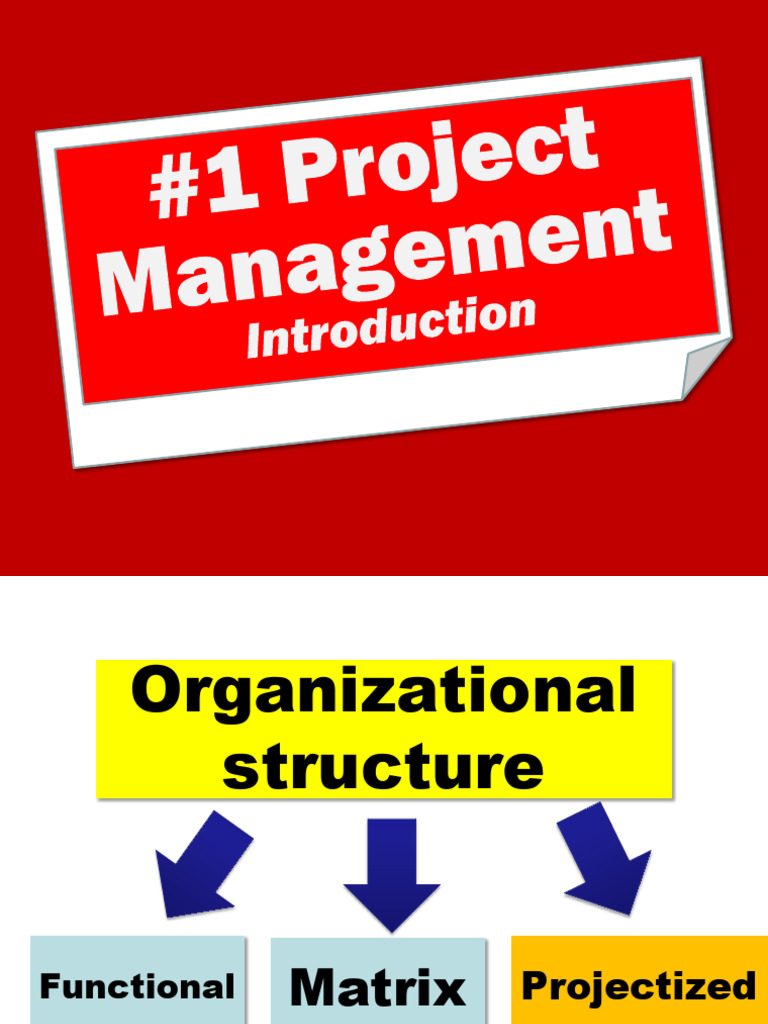 Project Management Structures & Stakeholders | PDF | Project Management ...