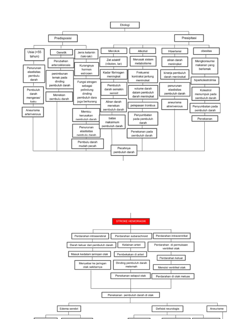 Pathway Stroke Hemoragik | PDF