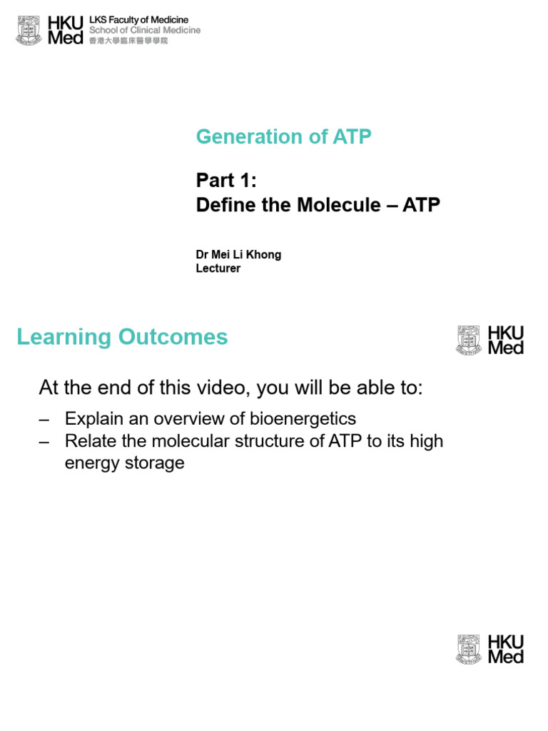 IAS15 Generation of ATP - 2024-25 | PDF | Adenosine Triphosphate ...