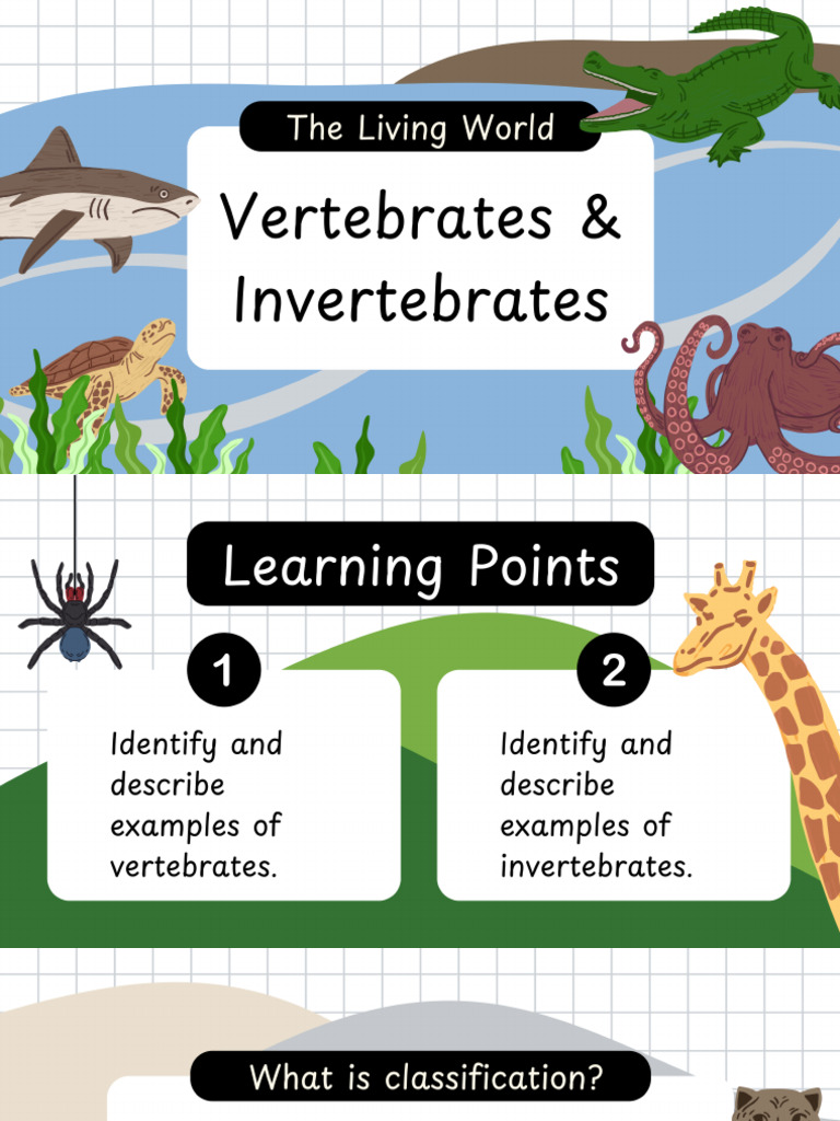 Vertebrates and Invertebrates Presentation in An Illustrative Style | PDF