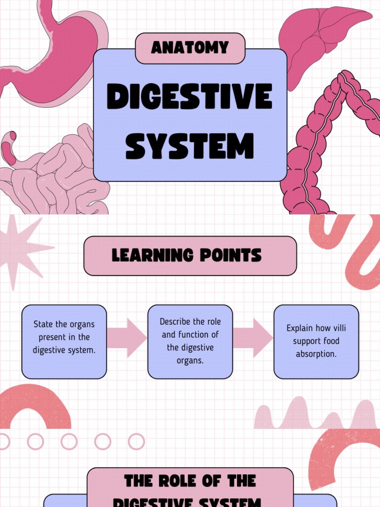 Digestive System Biology Presentation in A Bold Pink Blue Style | PDF