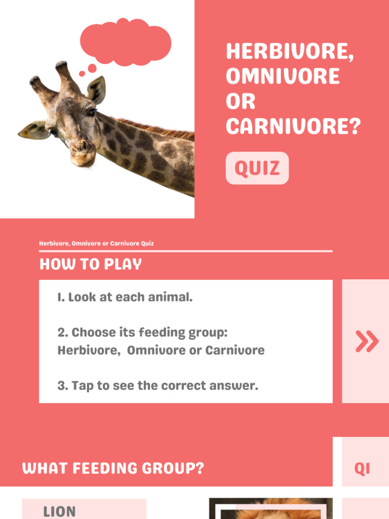 Herbivore, Omnivore or Carnivore Quiz Presentation in Pink Photographic ...