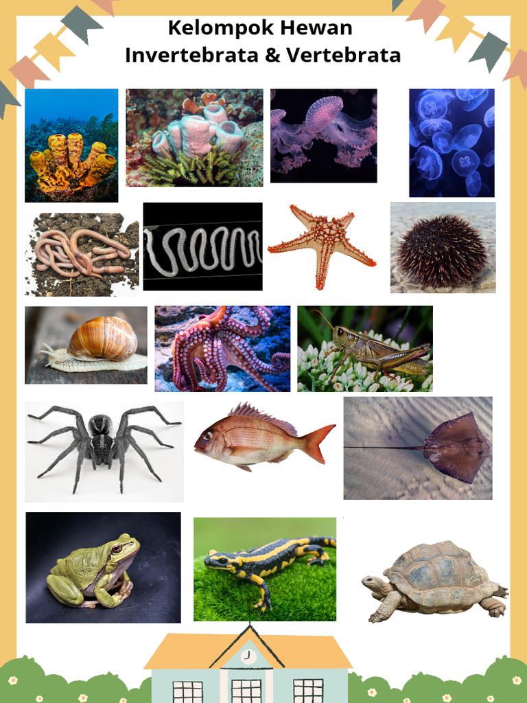 Kelompok Hewan Invertebrata & Vertebrata | PDF