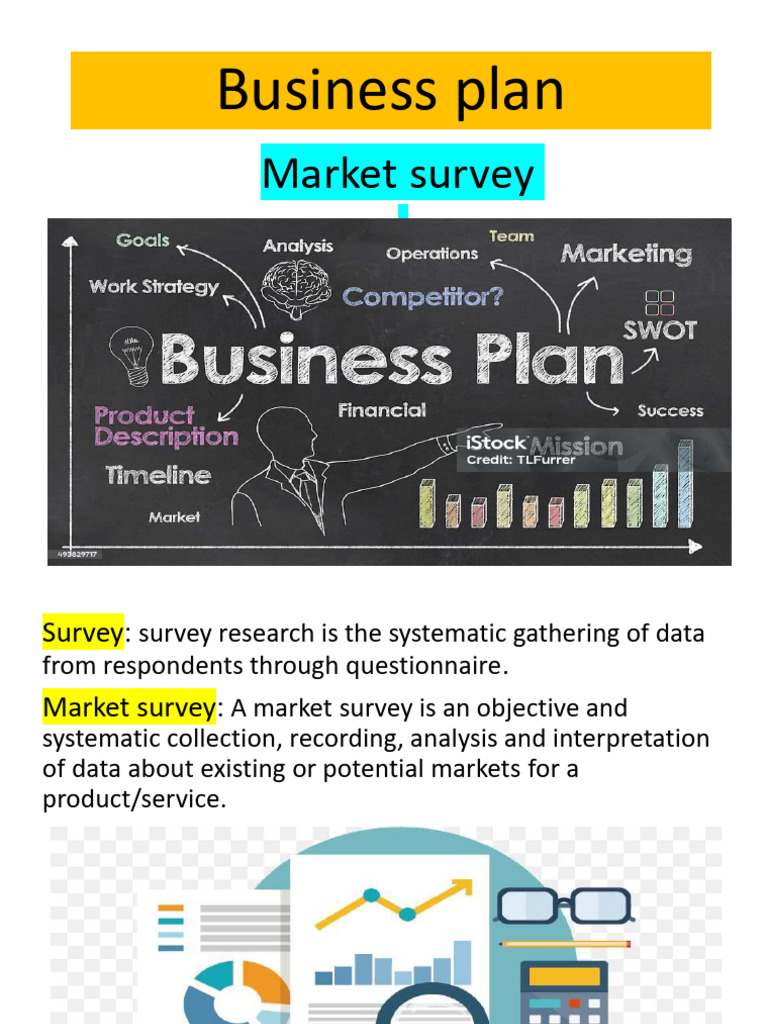 Market Survey | PDF