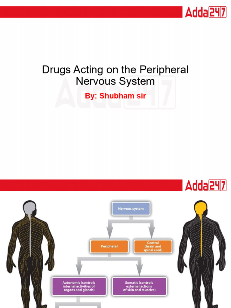 Drugs Acting On The Peripheral Nervous System | PDF | Acetylcholine ...