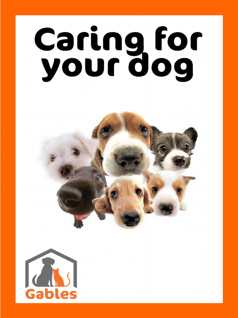 Caring For Your Dog Leaflet PDF 2 | PDF | Neutering | Dogs