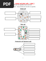 KS3 Science Revision Worksheets Cells | PDF | Vacuole | Cell (Biology)