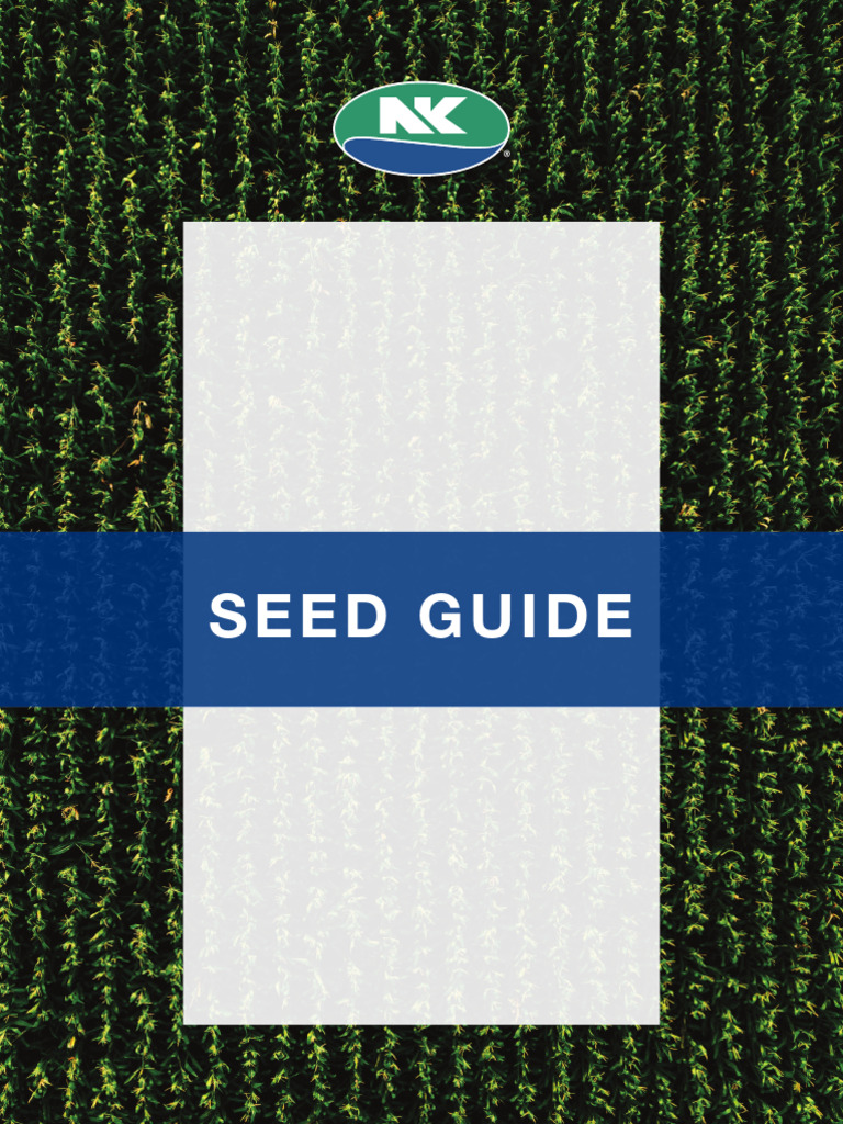 NK-2025-Seed-Guide | PDF | Maize | Botany