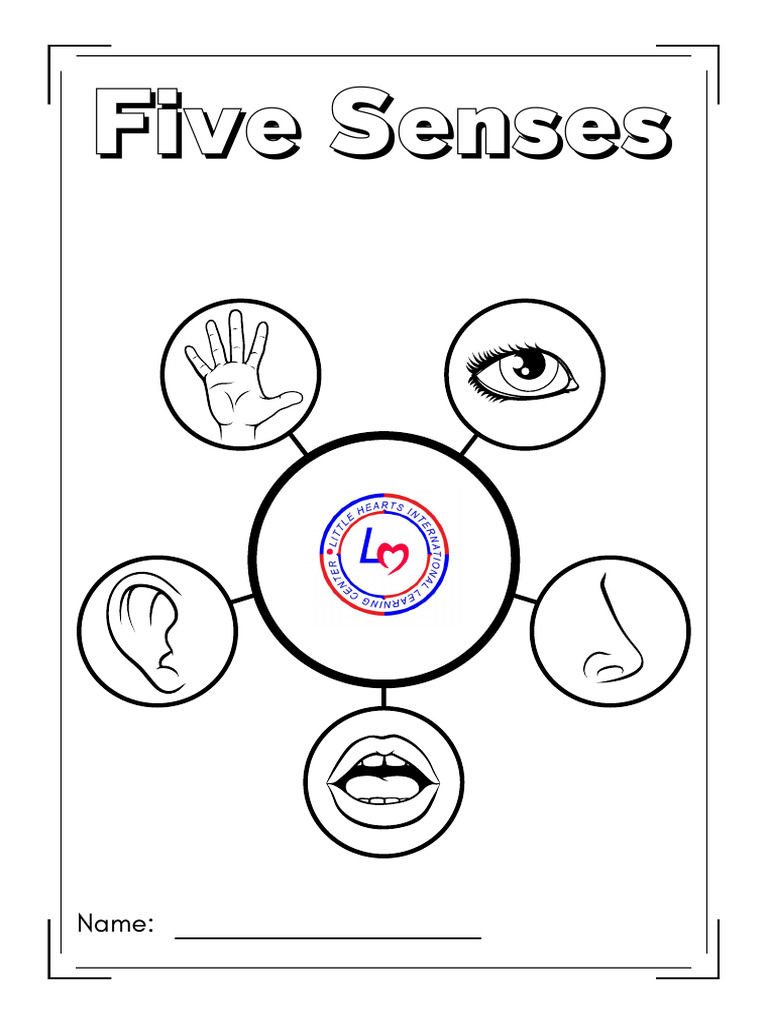 Five Senses Collage Book PDF | PDF