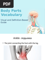 Latin Body Parts Glossary | PDF | Human Anatomy | Primate Anatomy
