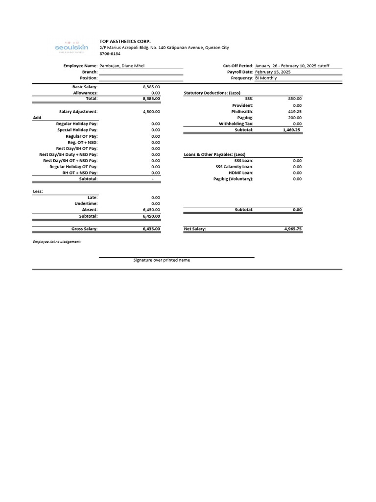 Payroll Summary for Top Aesthetics Corp. | PDF | Payroll | Income