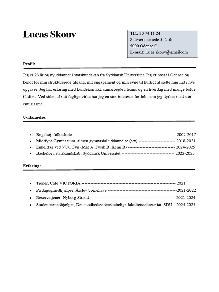 Lucas Skouv - CV | PDF