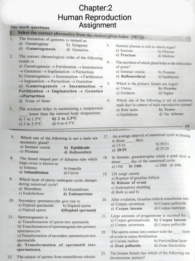 Chapter 2 Assignment | PDF